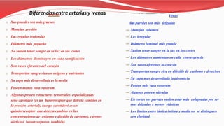 HISTOLOGIA DEL SISTEMA CIRCULATORIO.pptx