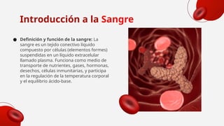 Histologia del Tejido Sanguíneo o Hemático | PPT