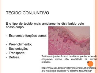 Histologia do tecido conjuntivo(Tayane.pptx