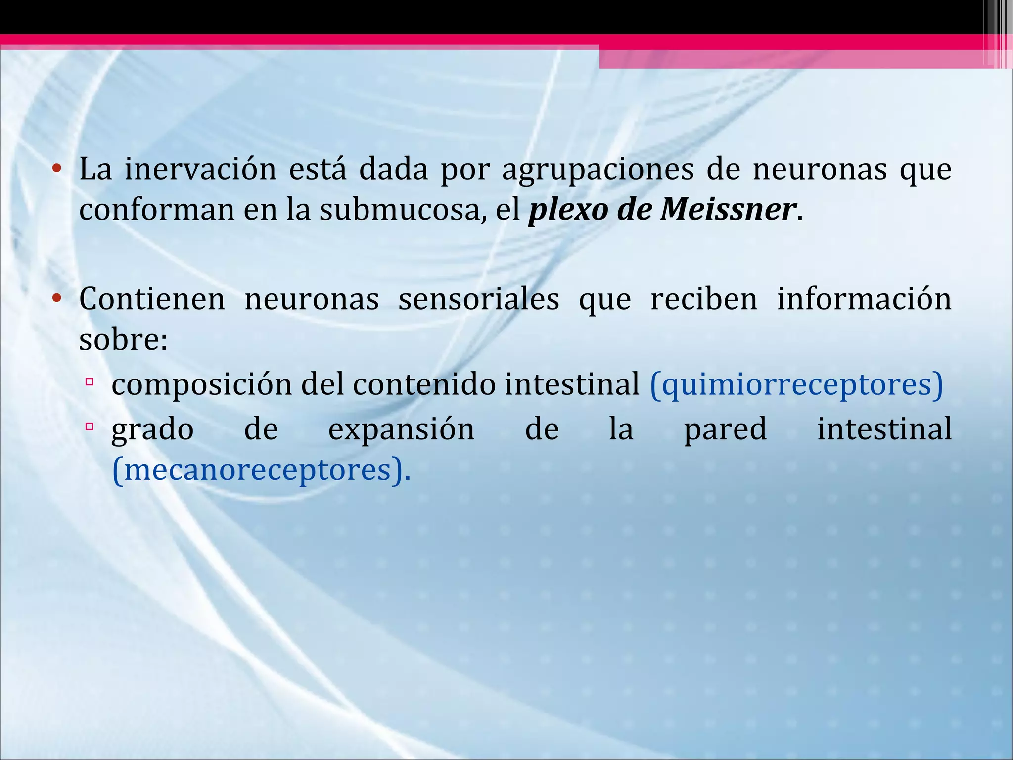 Histologia estomago,duodeno y yeyuno | PPT