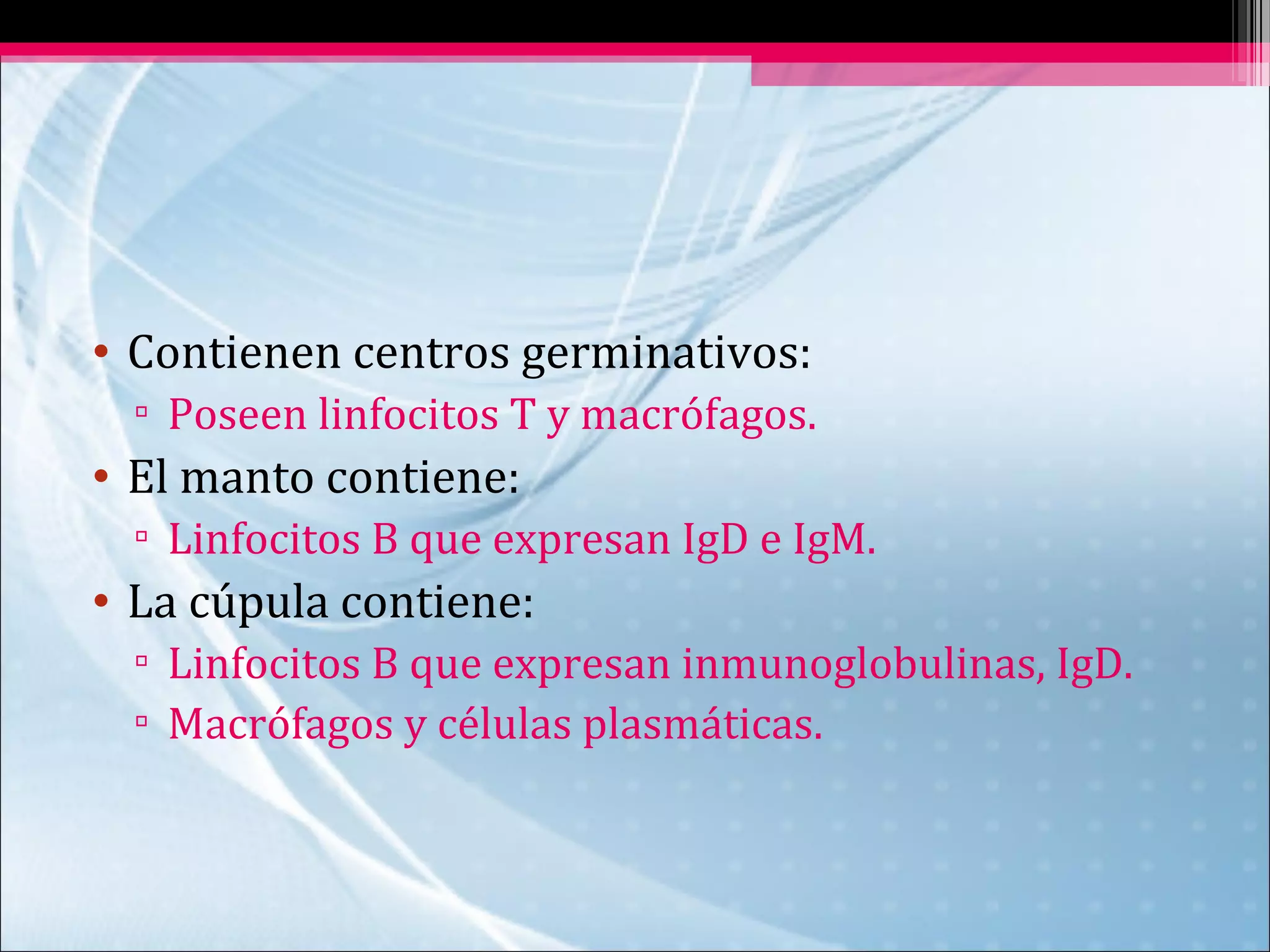 Histologia estomago,duodeno y yeyuno | PPT