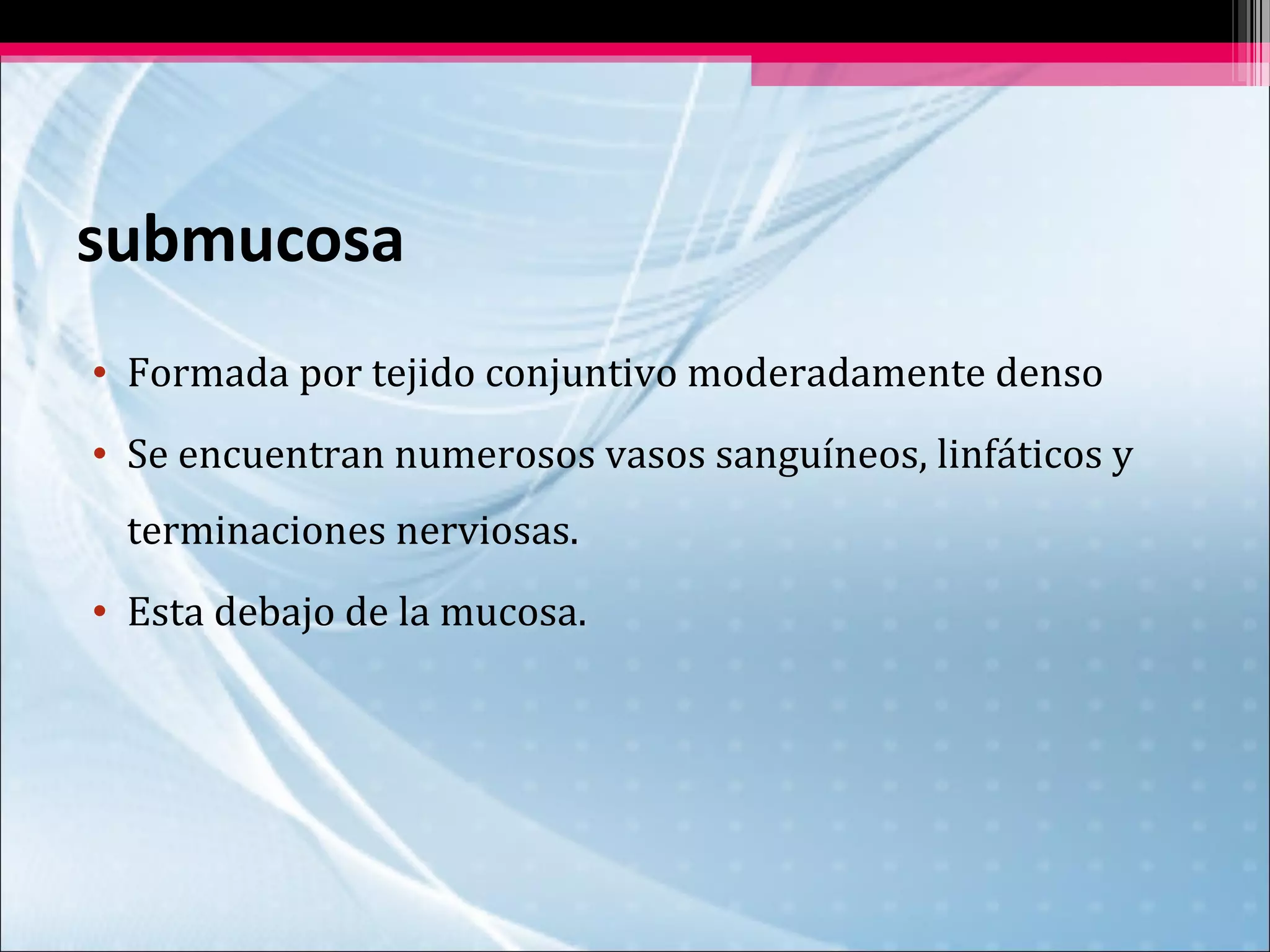 Histologia estomago,duodeno y yeyuno | PPT