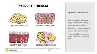 Histologia general del desarrollo embrionario.pptx