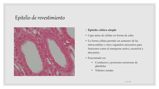 Histologia general del desarrollo embrionario.pptx