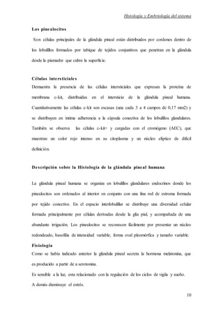 HIPOFISIS - HISTOLOGIA Y GLANDULAS PINEALES DOC | DOCX