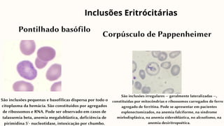 Histologia humana GAP 2023.pdf