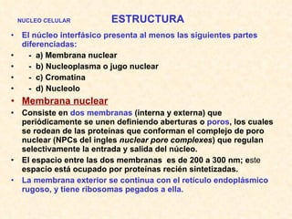 Histologia I Clase Concepto Microscopio Celula | PPT