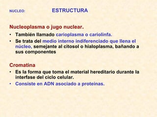 Histologia I Clase Concepto Microscopio Celula | PPT