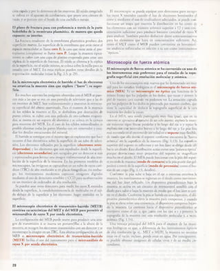 Histologia_Ross (1).pdf