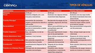 HISTOLOGíA SESIÓN 07 - INTEGRACIÓN DE HISTOLOGÍA VASCULAR.pdf