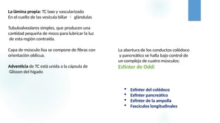 HISTOLOGIA SISTEMA DIGESTIVO enfermería.pptx