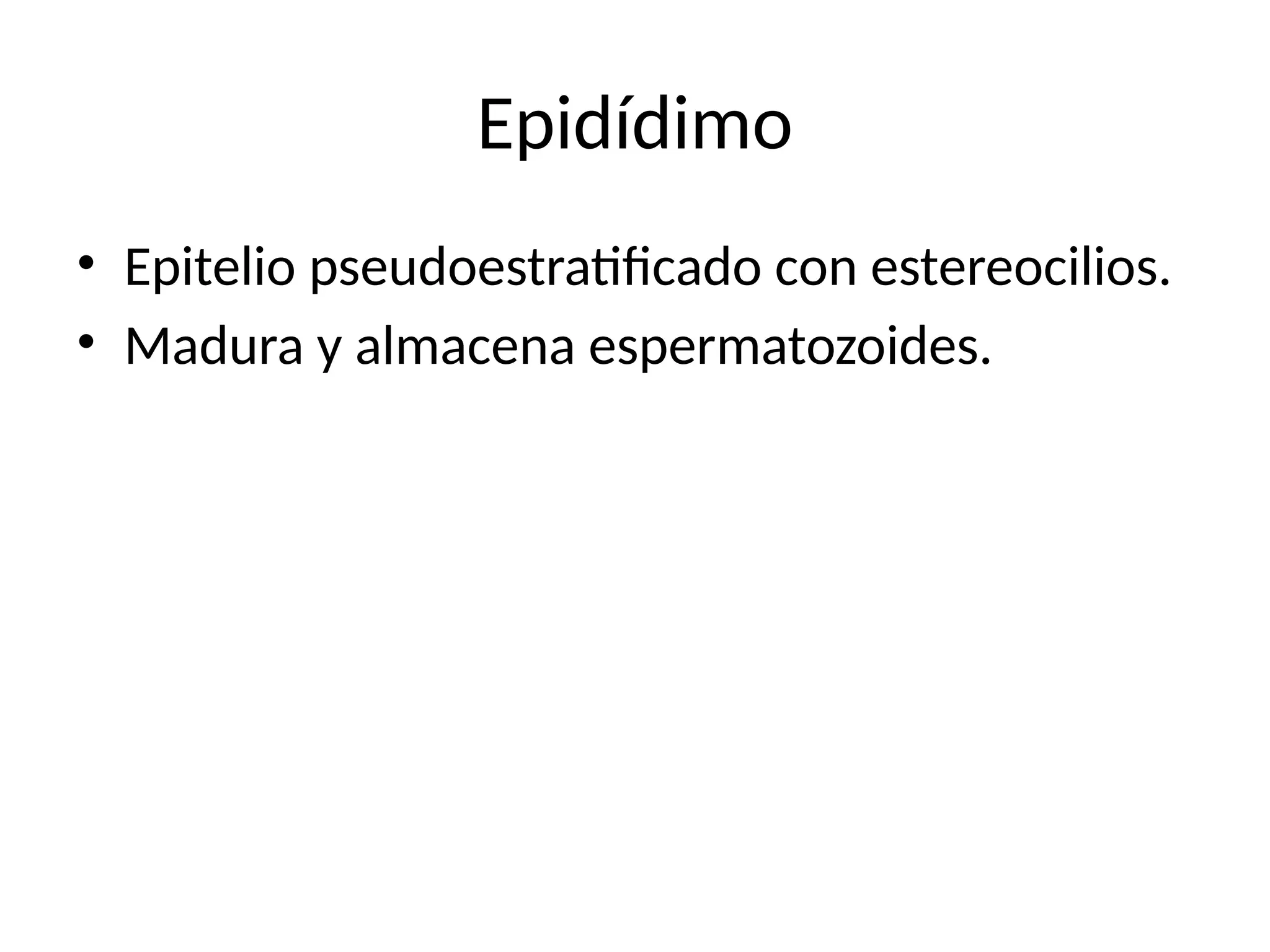 Histologia_Sistema_Reproductor_Masculino_Mauge.pptx