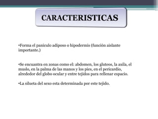 Histologia tejido adiposo | PPTX