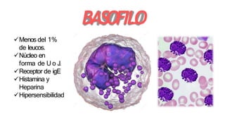 Histologia tejido sanguineo.pptx