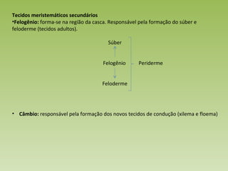 Histologia vegetal | PPT