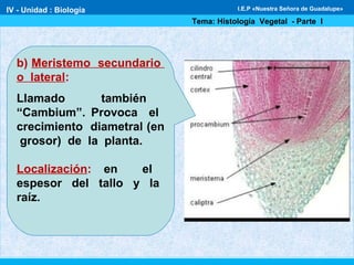 Histologia vegetal | PPT