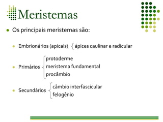 Histologia vegetal | PPTX