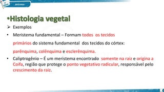 HISTOLOGIA VEGETAL.pptx