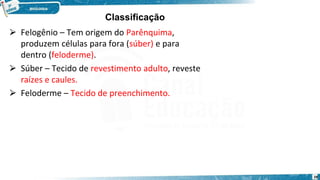 HISTOLOGIA VEGETAL.pptx