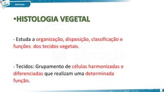 HISTOLOGIA VEGETAL.pptx