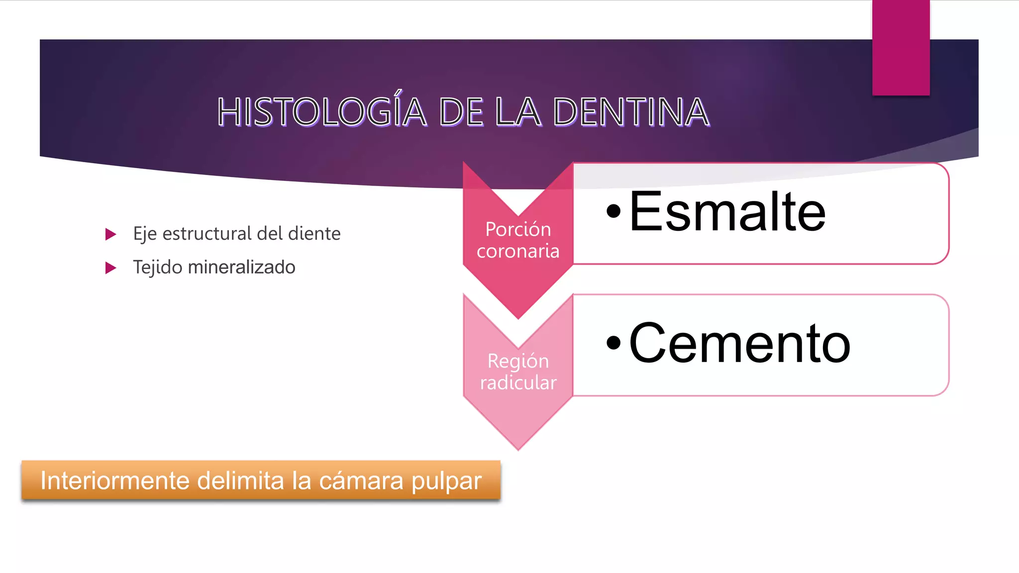 HISTOLOGÍA Y FISIOLOGIA DEL COMPLEJO DENTINO-PULPAR.pptx