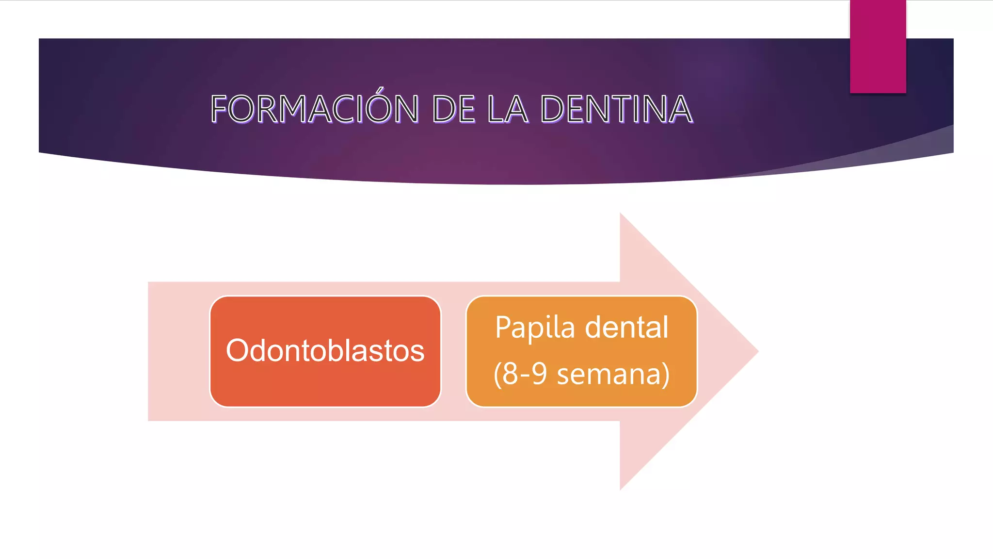 HISTOLOGÍA Y FISIOLOGIA DEL COMPLEJO DENTINO-PULPAR.pptx