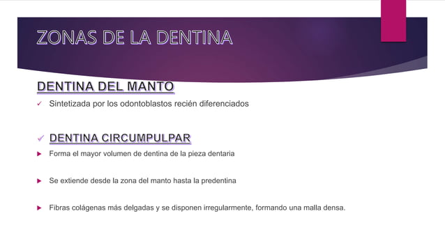 HISTOLOGÍA Y FISIOLOGIA DEL COMPLEJO DENTINO-PULPAR.pptx