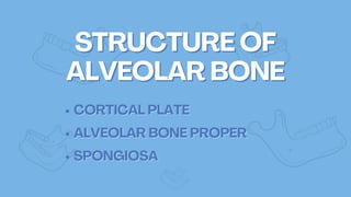 HISTOLOGIC-ARRANGEMENT-OF-MATURE-BONE.pdf