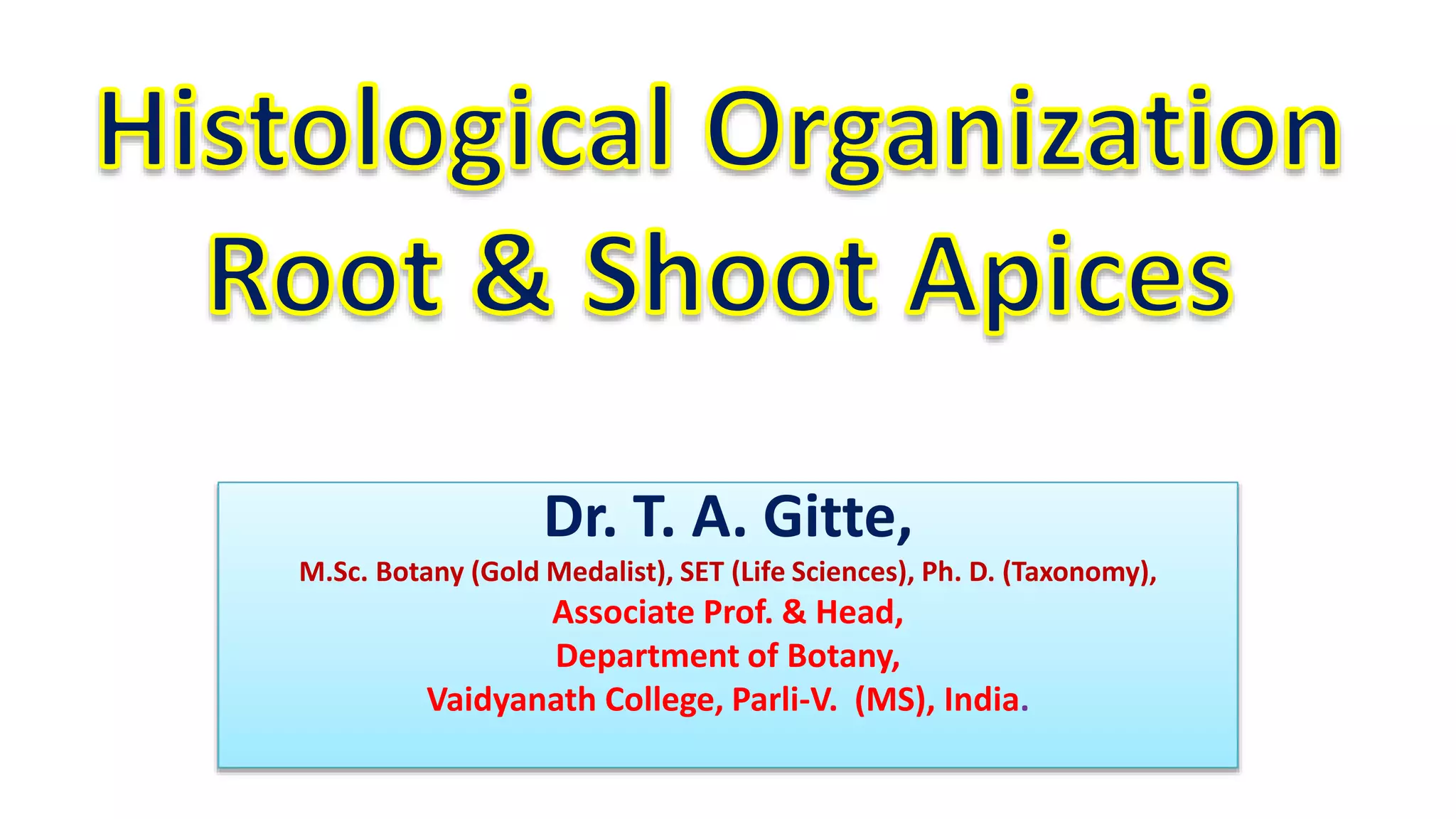 Histological organization of root and shoot apices | PPTX