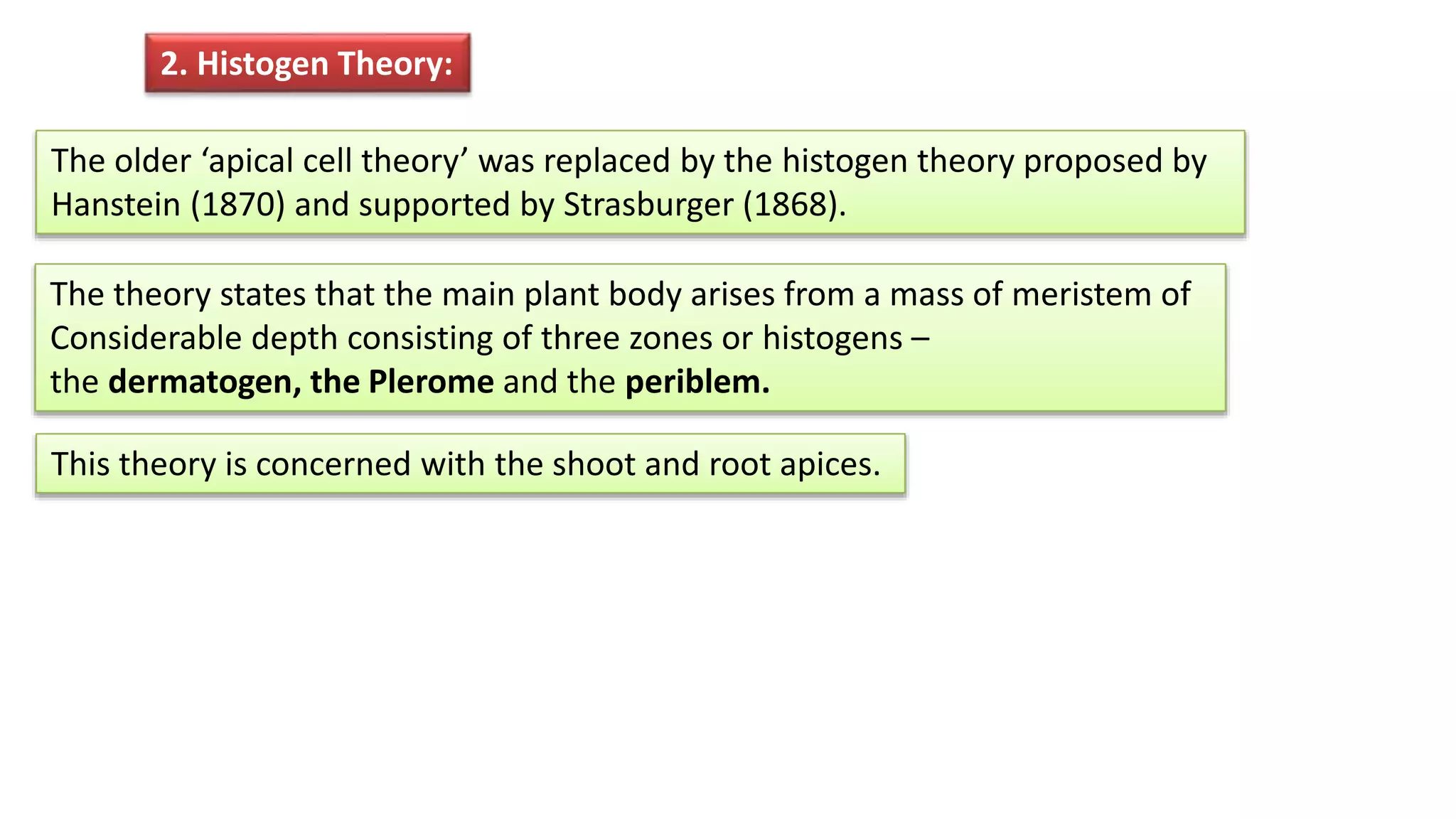 Histological organization of root and shoot apices | PPTX
