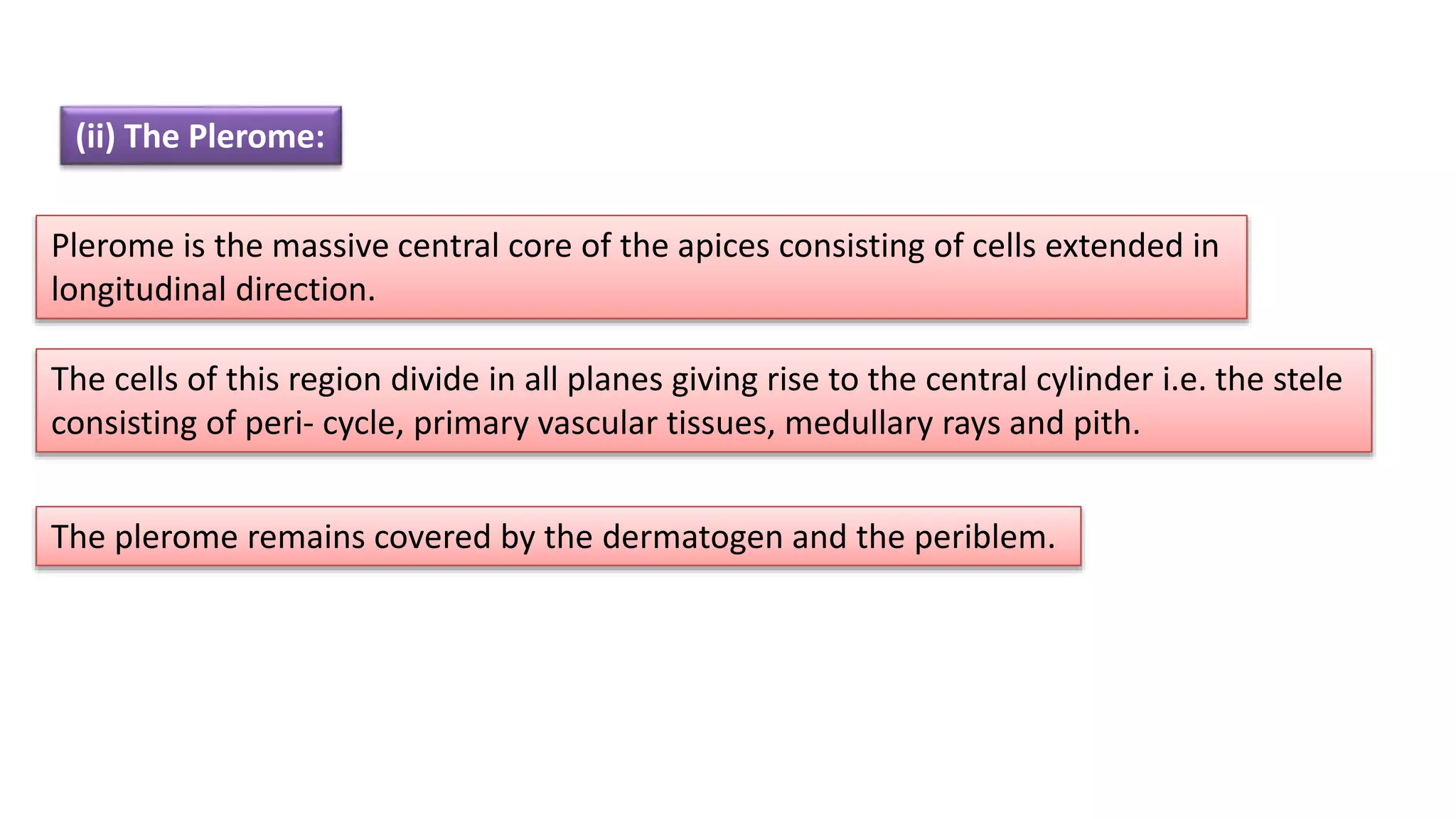 Histological organization of root and shoot apices | PPTX