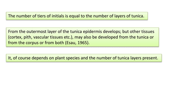 Histological organization of root and shoot apices | PPTX | Gardening ...