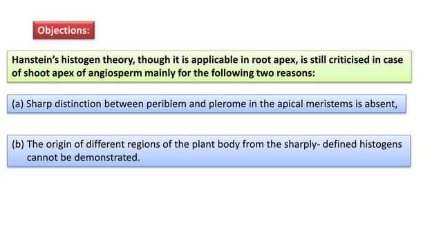 Histological organization of root and shoot apices | PPTX | Gardening ...
