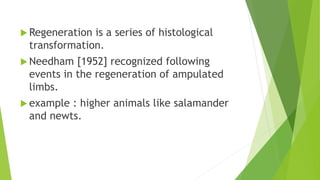 Histological processes during regeneration | PPTX