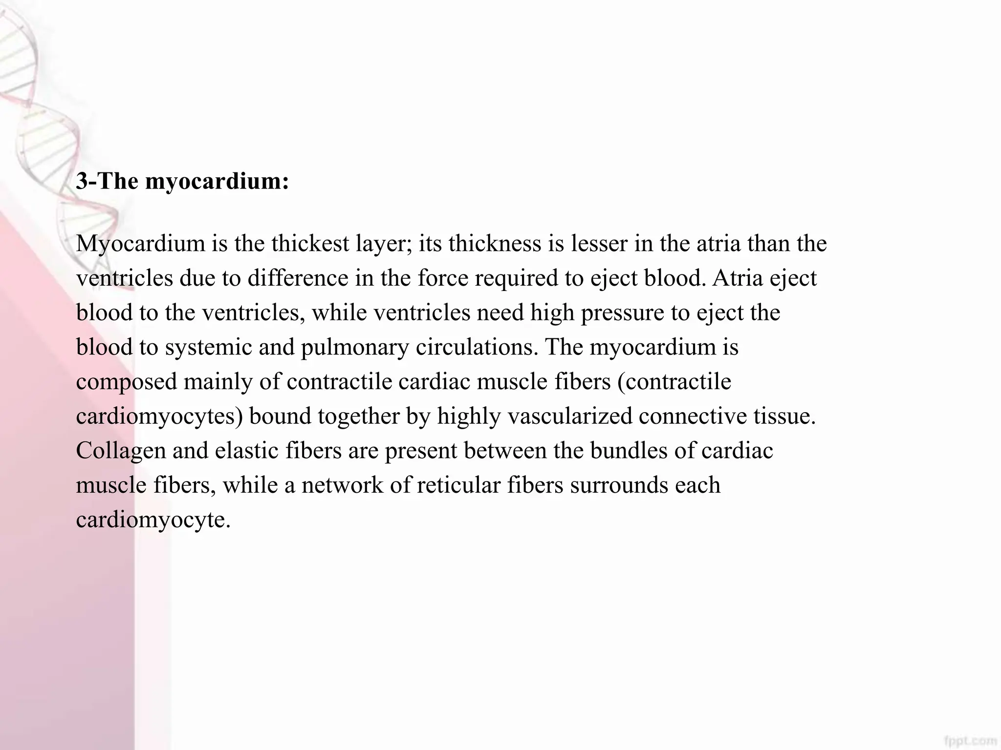 Histological review of the cardiac muscle - maha hammady.pptx