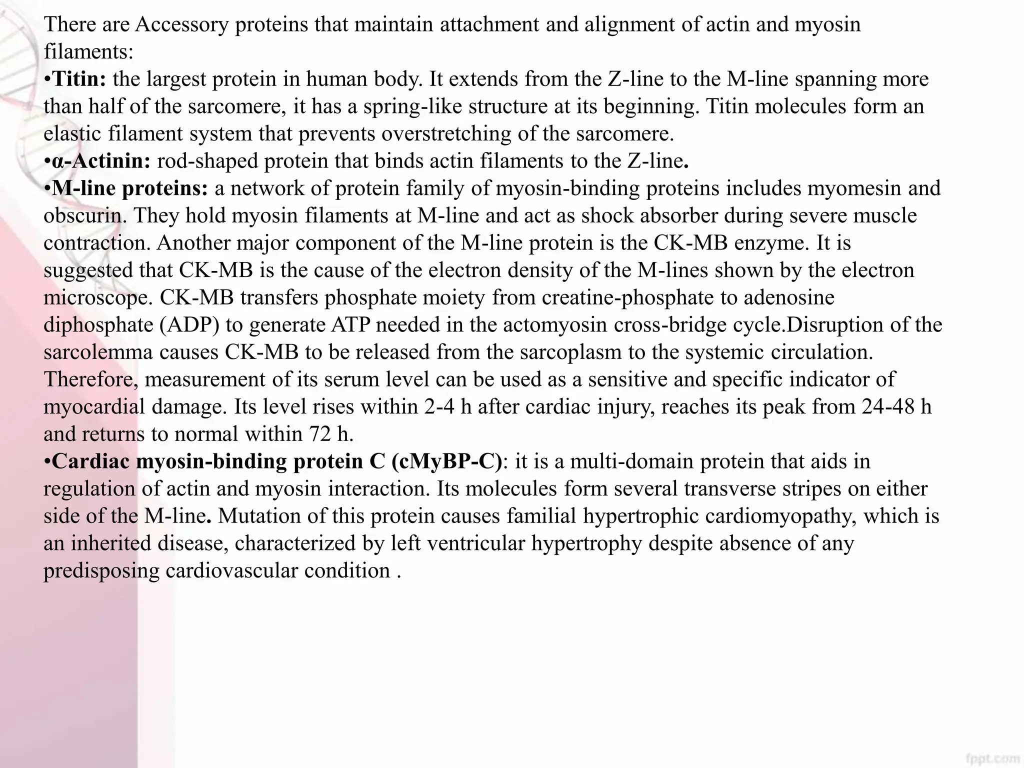 Histological review of the cardiac muscle - maha hammady.pptx