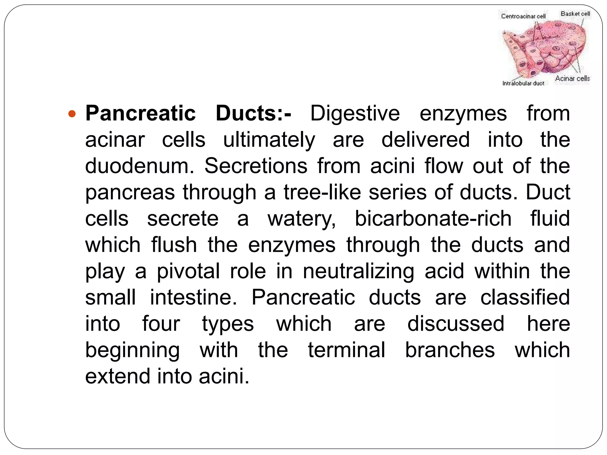 Histological structure of pancreas | PPTX