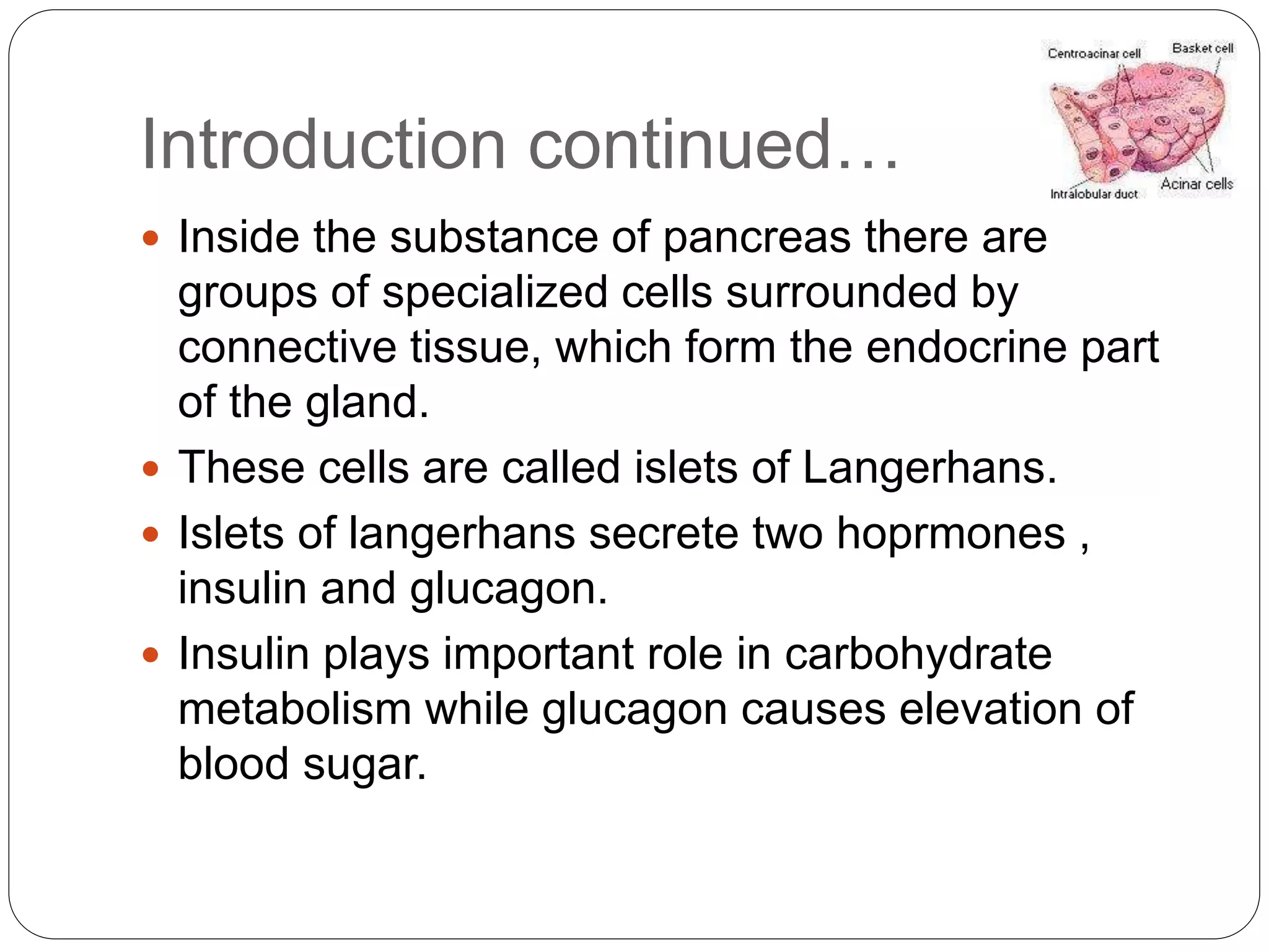 Histological structure of pancreas | PPTX