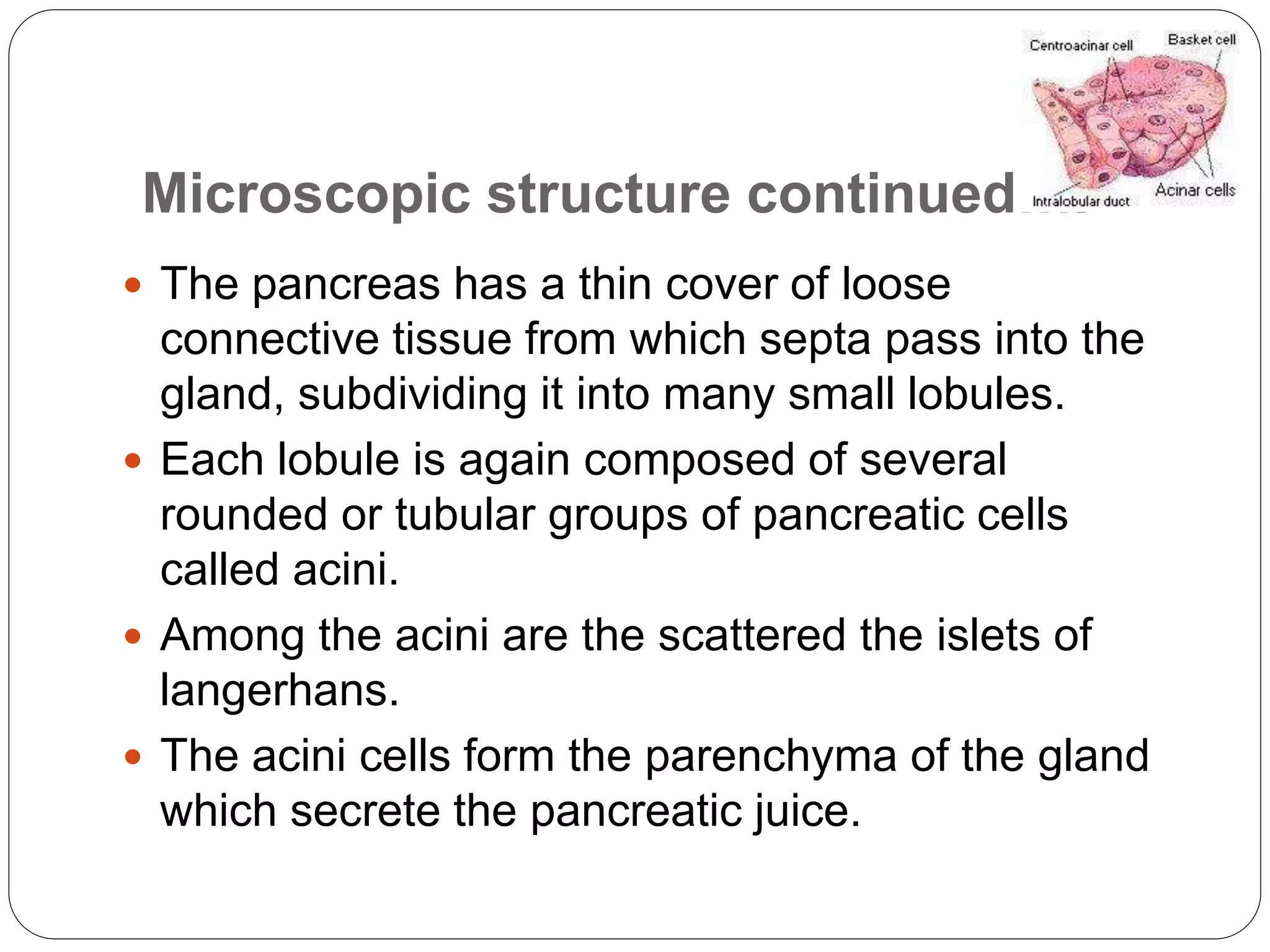 Histological structure of pancreas | PPTX