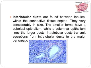 Histological structure of pancreas | PPTX