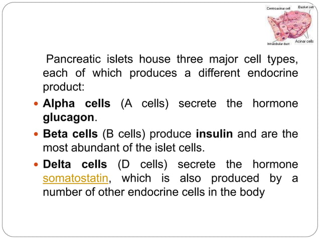 Histological structure of pancreas | PPTX