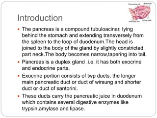 Histological structure of pancreas | PPTX