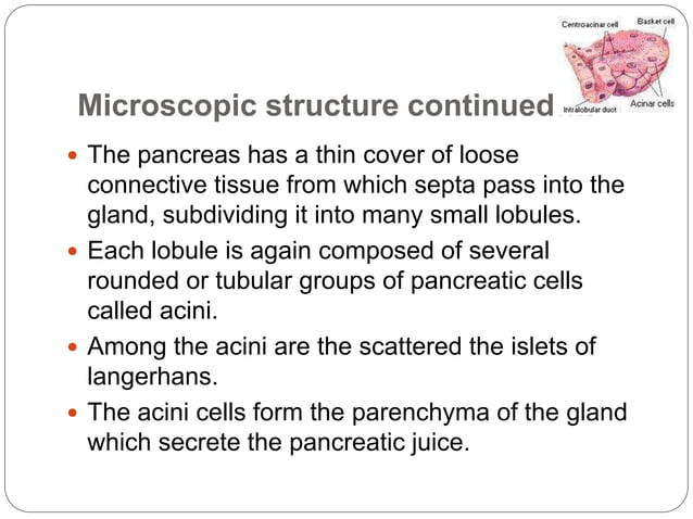Histological structure of pancreas | PPTX