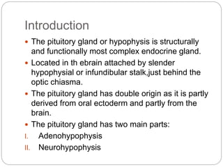 Infundibular Stalk Histology