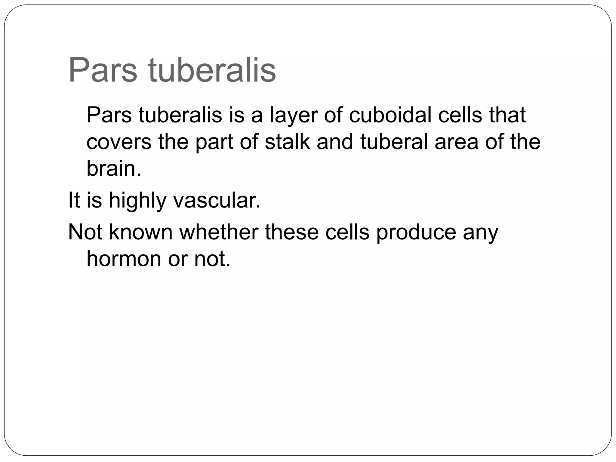 Histological structure of pituitory gland | PPTX