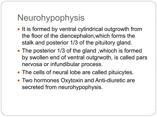 Histological structure of pituitory gland | PPTX