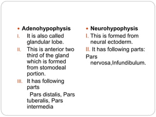 Histological structure of pituitory gland | PPTX