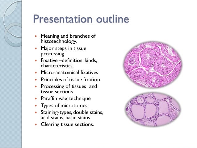 Histological techniques for life science researchers