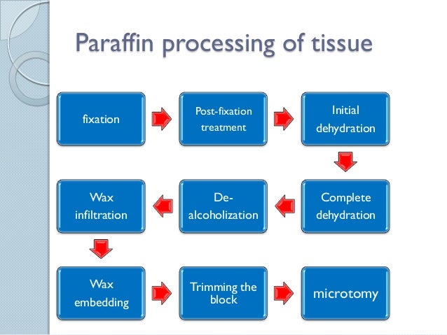 Histological techniques for life science researchers
