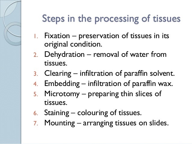 Histology Tissue Processing Diagram Tissue Histopathology